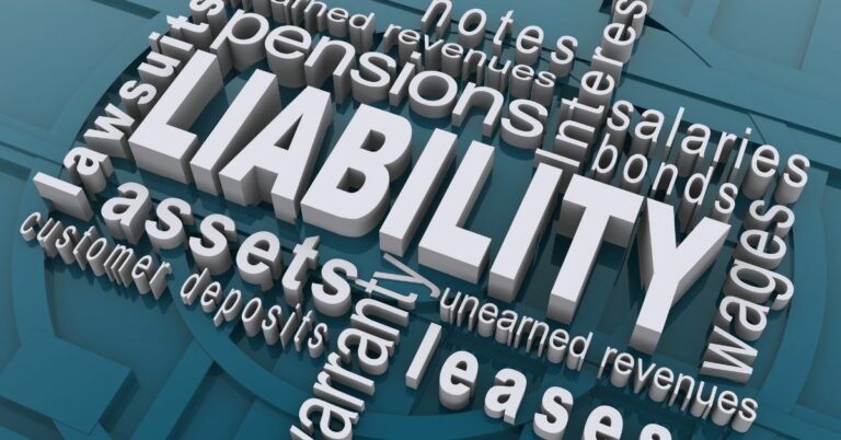 Liability in Louboutins: Fashion Law as an Emerging Discipline ...